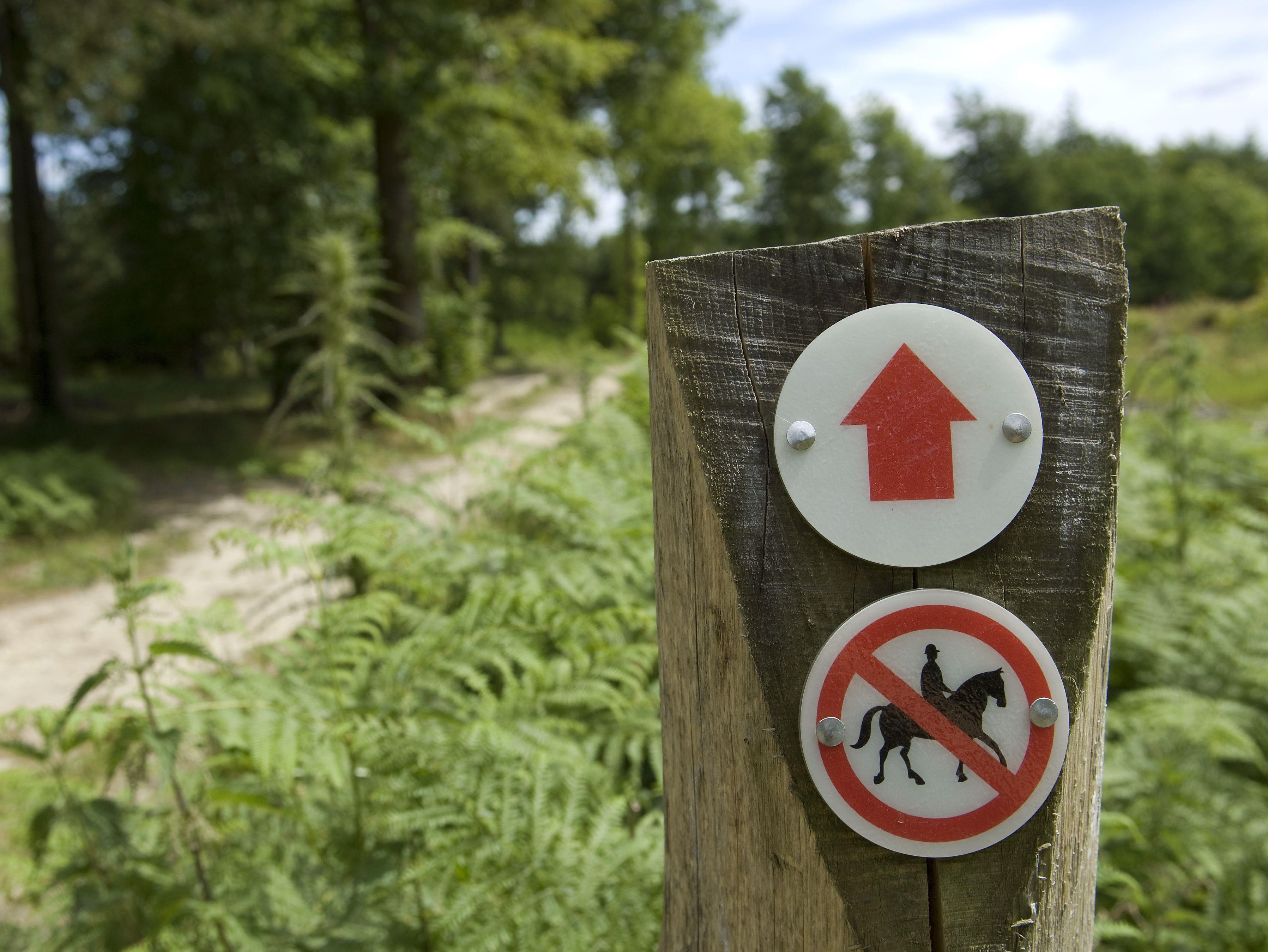 Respect, Protect, Enjoy - Ashford and Tenterden